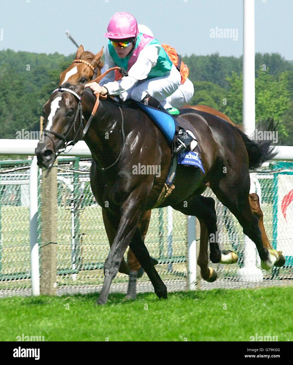 Ascot racing Tillerman Stock Photo - Alamy