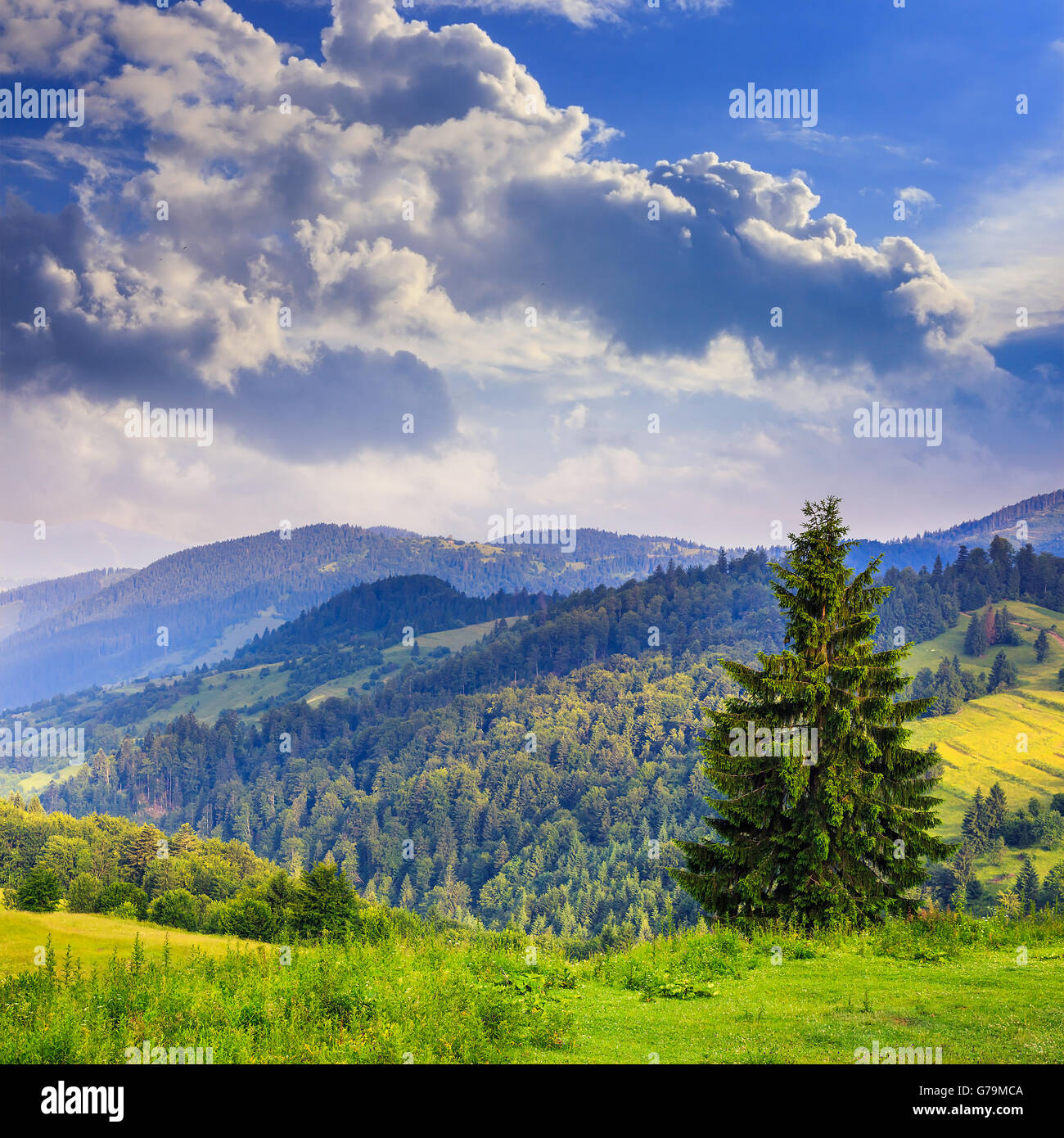 Clear mountain morning hi-res stock photography and images - Alamy
