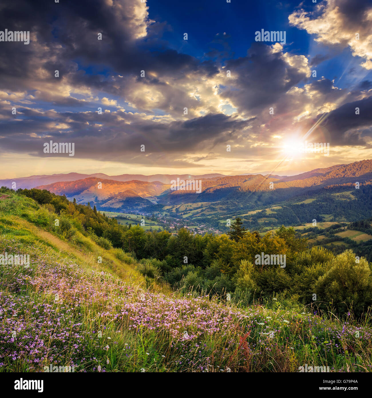summer landscape. village on the hillside. forest on the mountain light ...