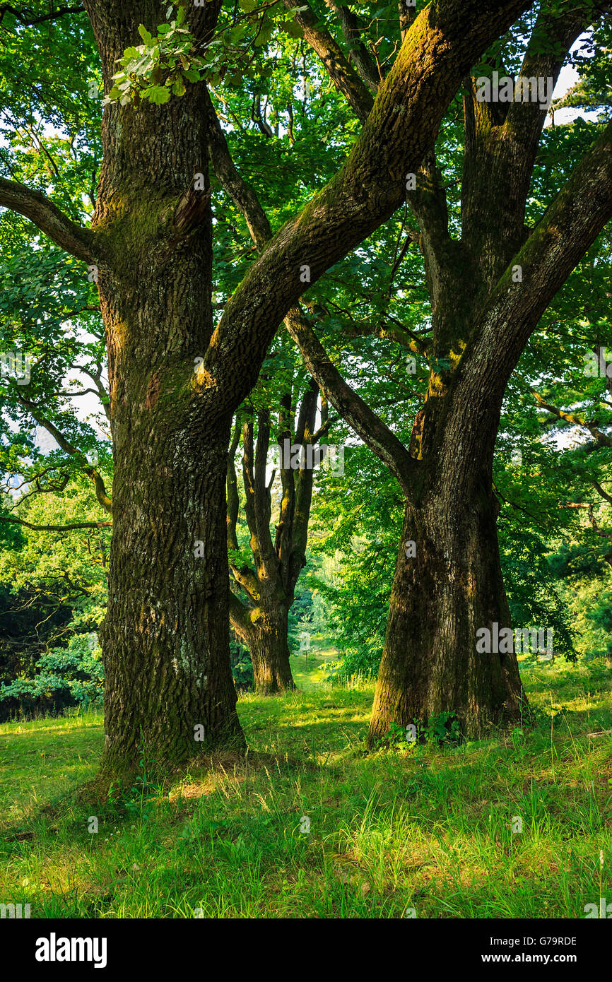 Cool shade hot sunny day hi-res stock photography and images - Alamy