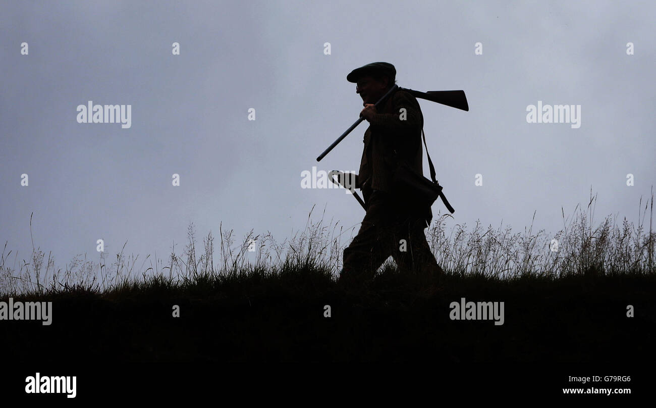 The Glorious 12th Stock Photo - Alamy
