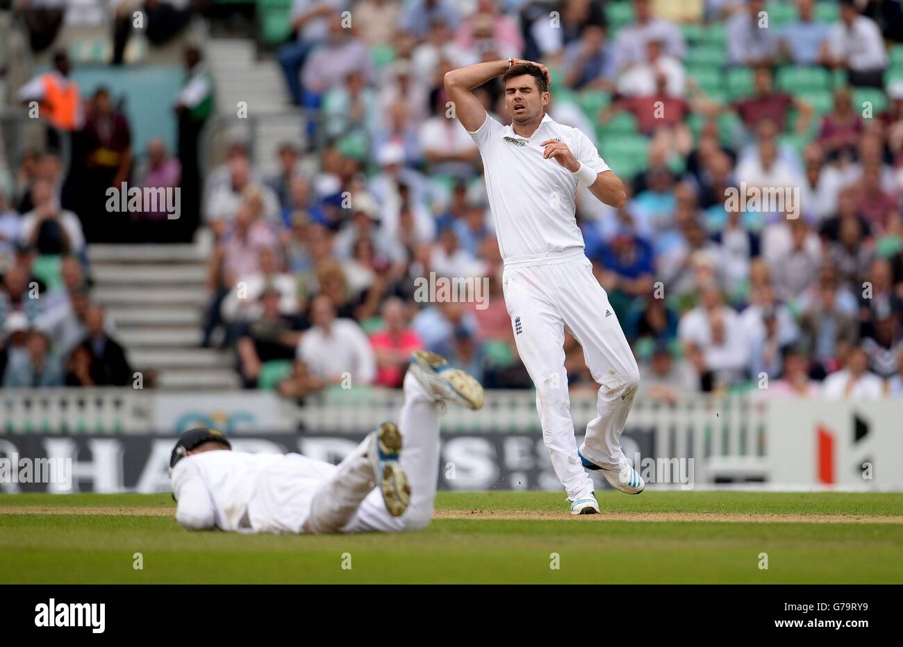 Sam anderson hi-res stock photography and images - Alamy