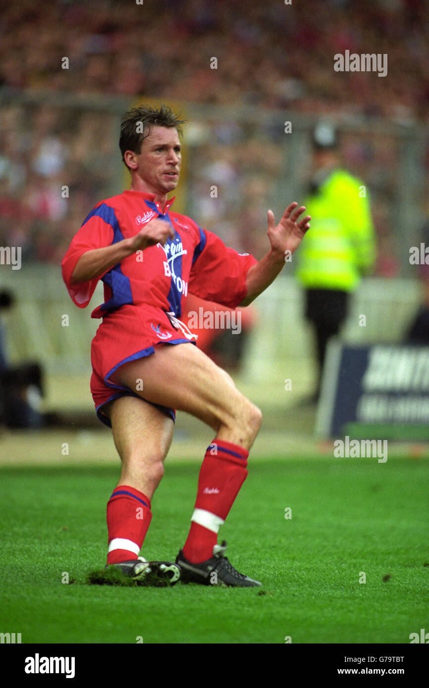 Soccer - Zenith Data Cup Final - Crystal Palace v Everton - Wembley ...