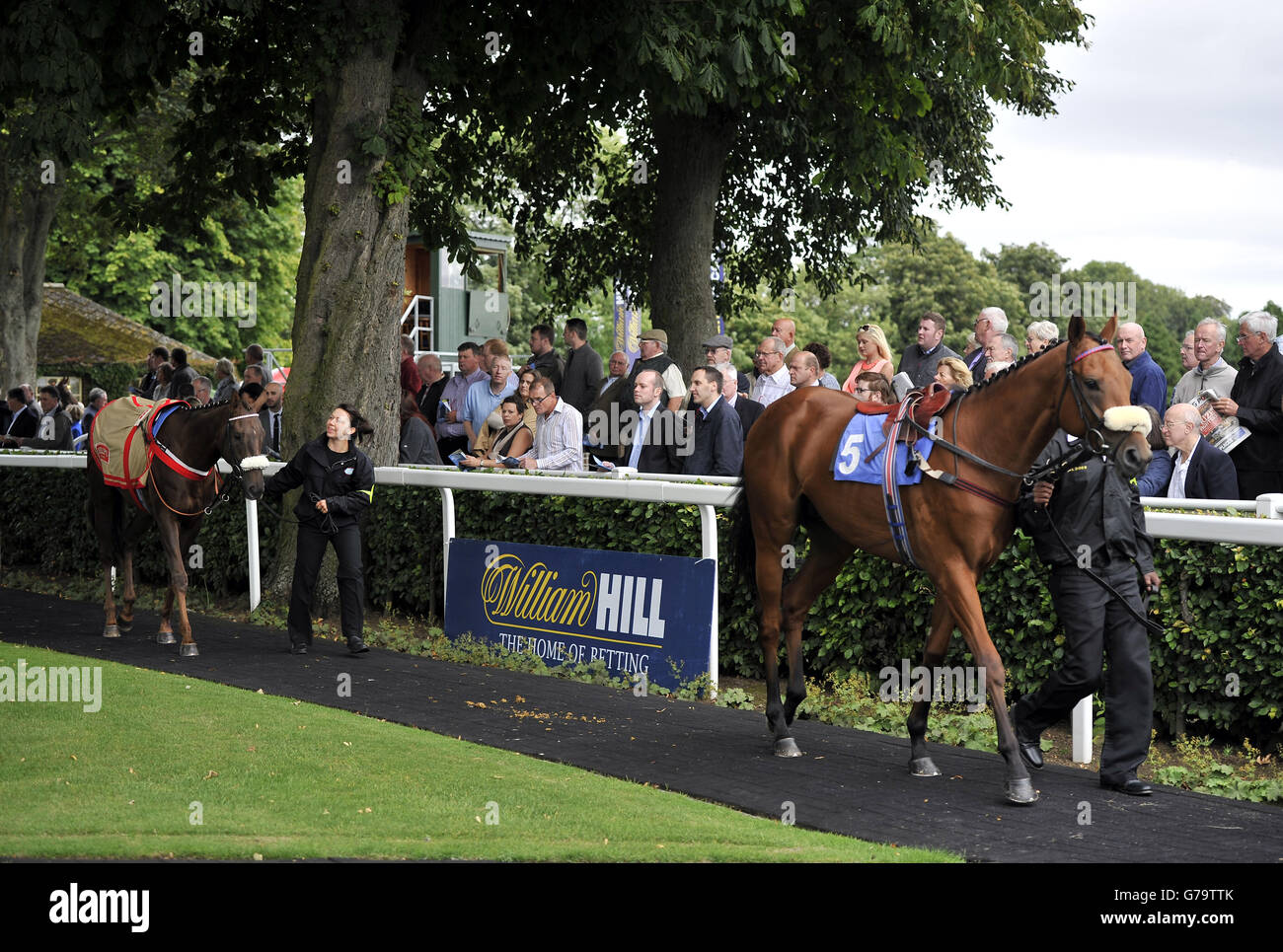 2014 see pa story racing ripon photo credit should read hi-res stock ...