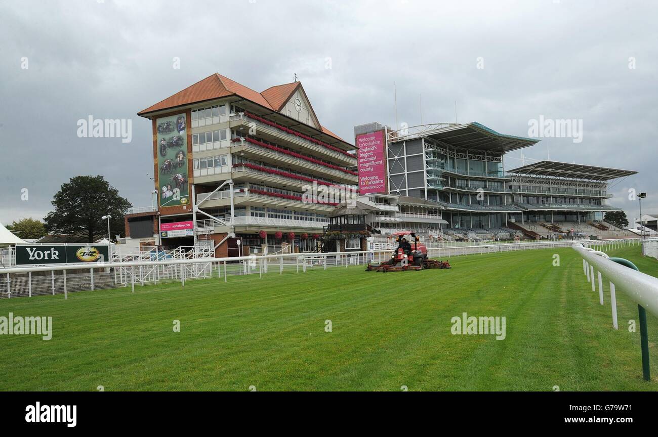 The turf is mowed at York Racecourse in north Yorkshire, ahead of ...