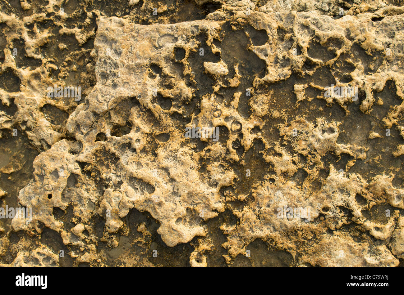 Bumpy surface hi-res stock photography and images - Alamy