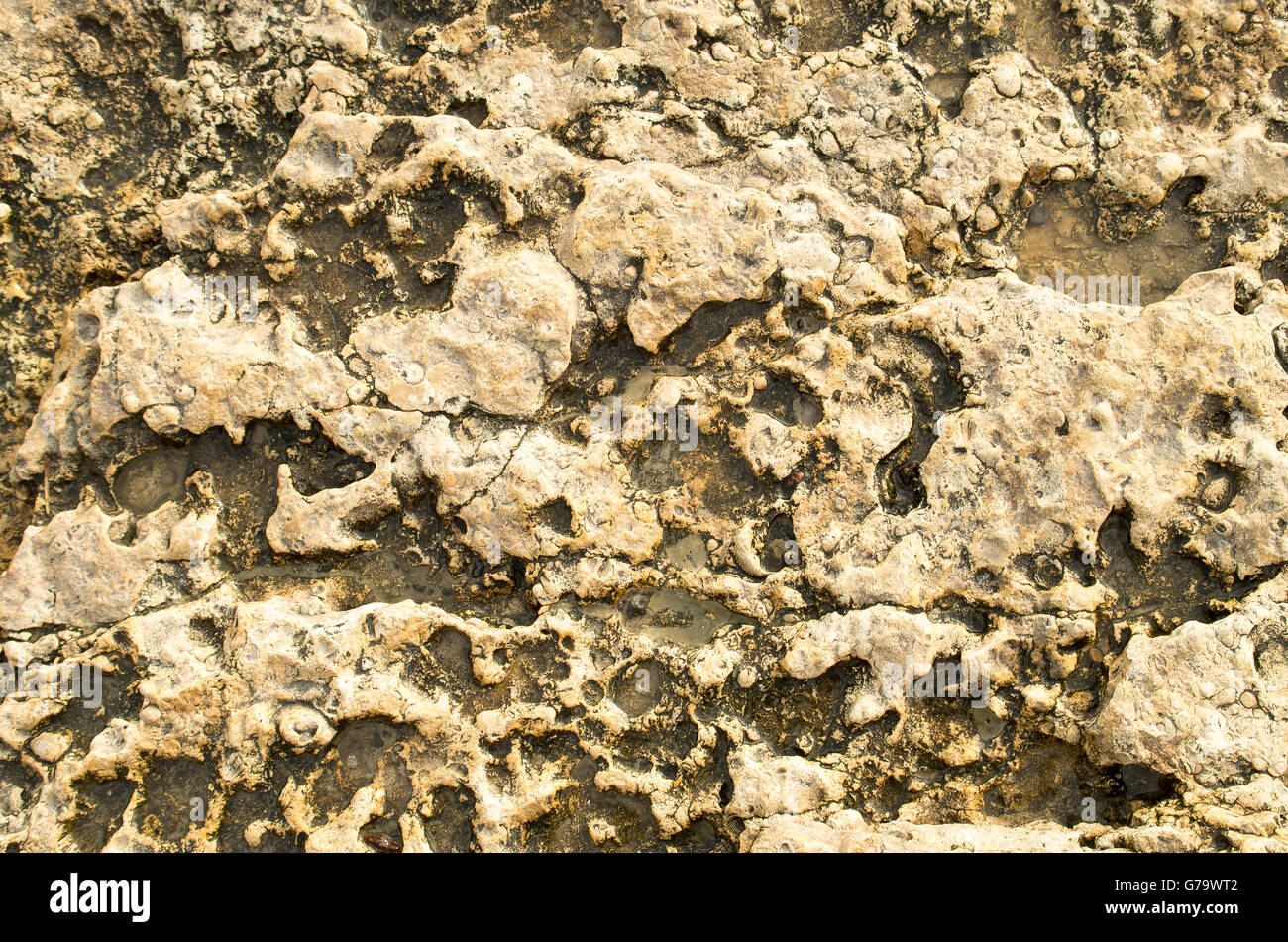 Bumpy surface hi-res stock photography and images - Alamy