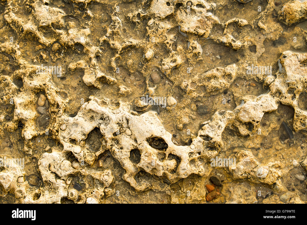 Top view of the natural background of yellow limestone with a rough ...
