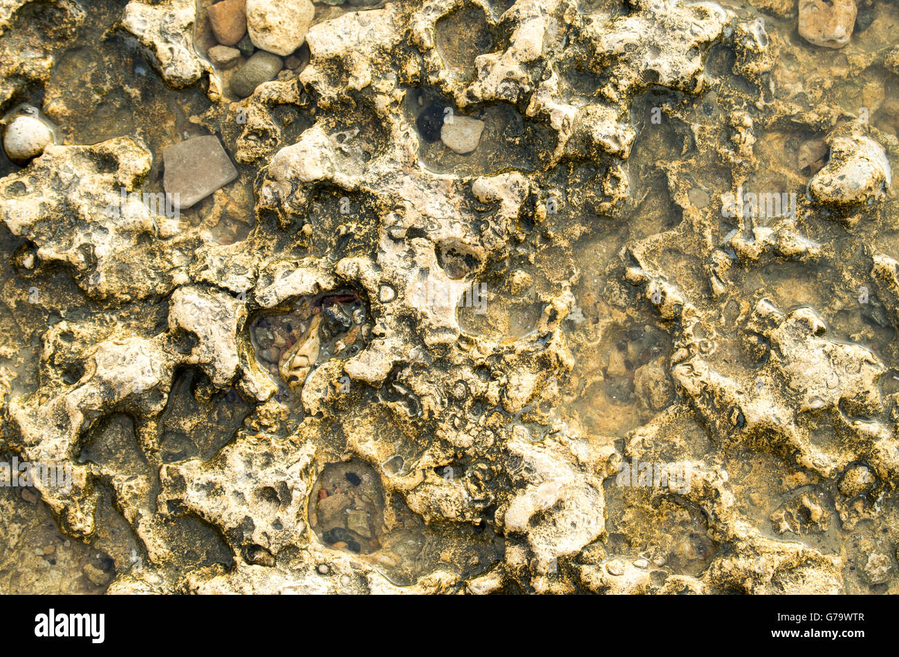 Top view of the natural background closeup of yellow limestone with a ...