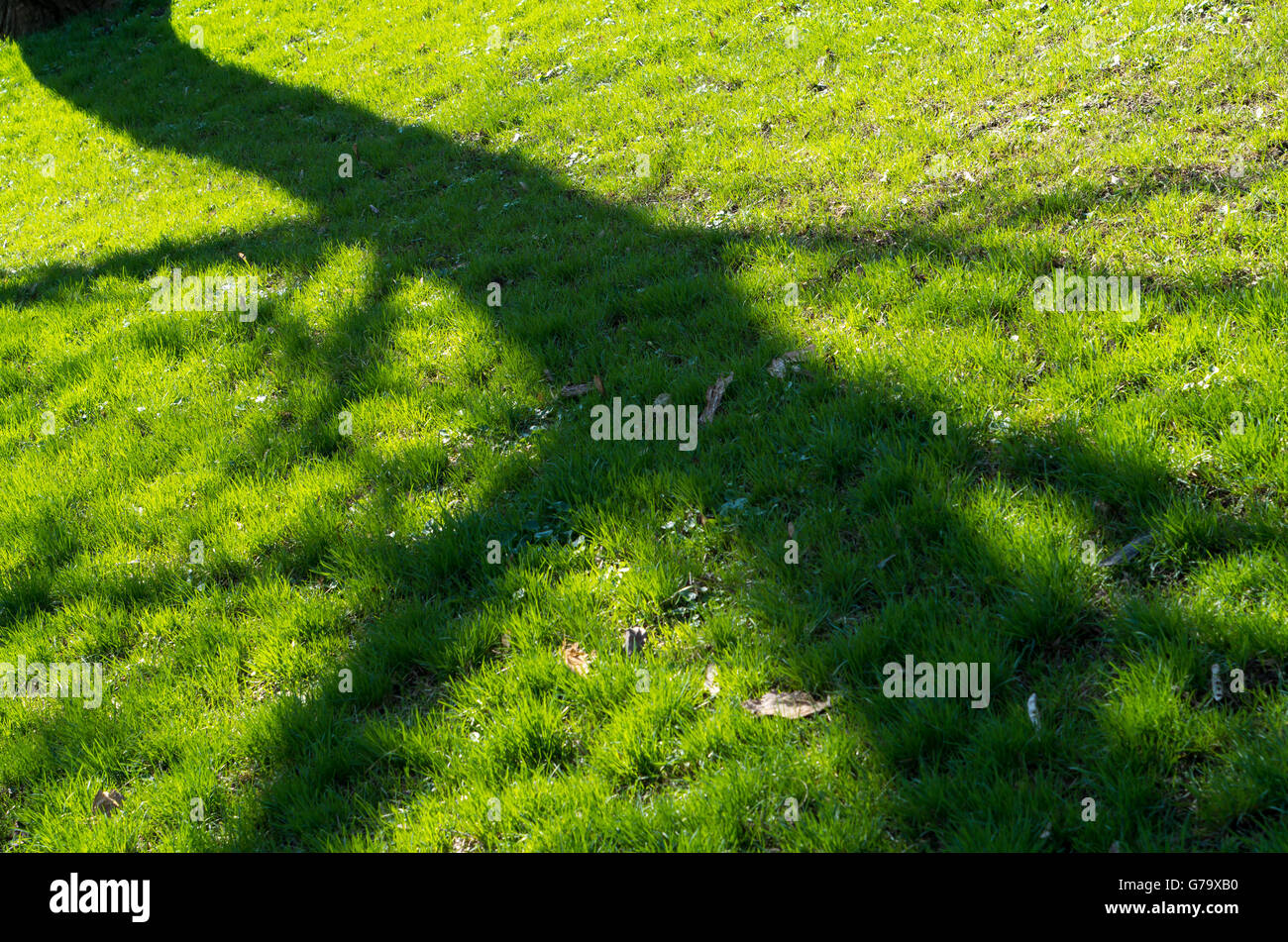 Shadow depth of field hi-res stock photography and images - Alamy