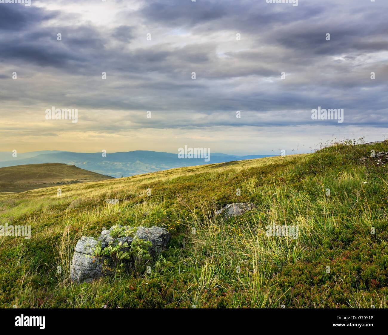 white sharp stones on the hillside in high mountains Stock Photo - Alamy