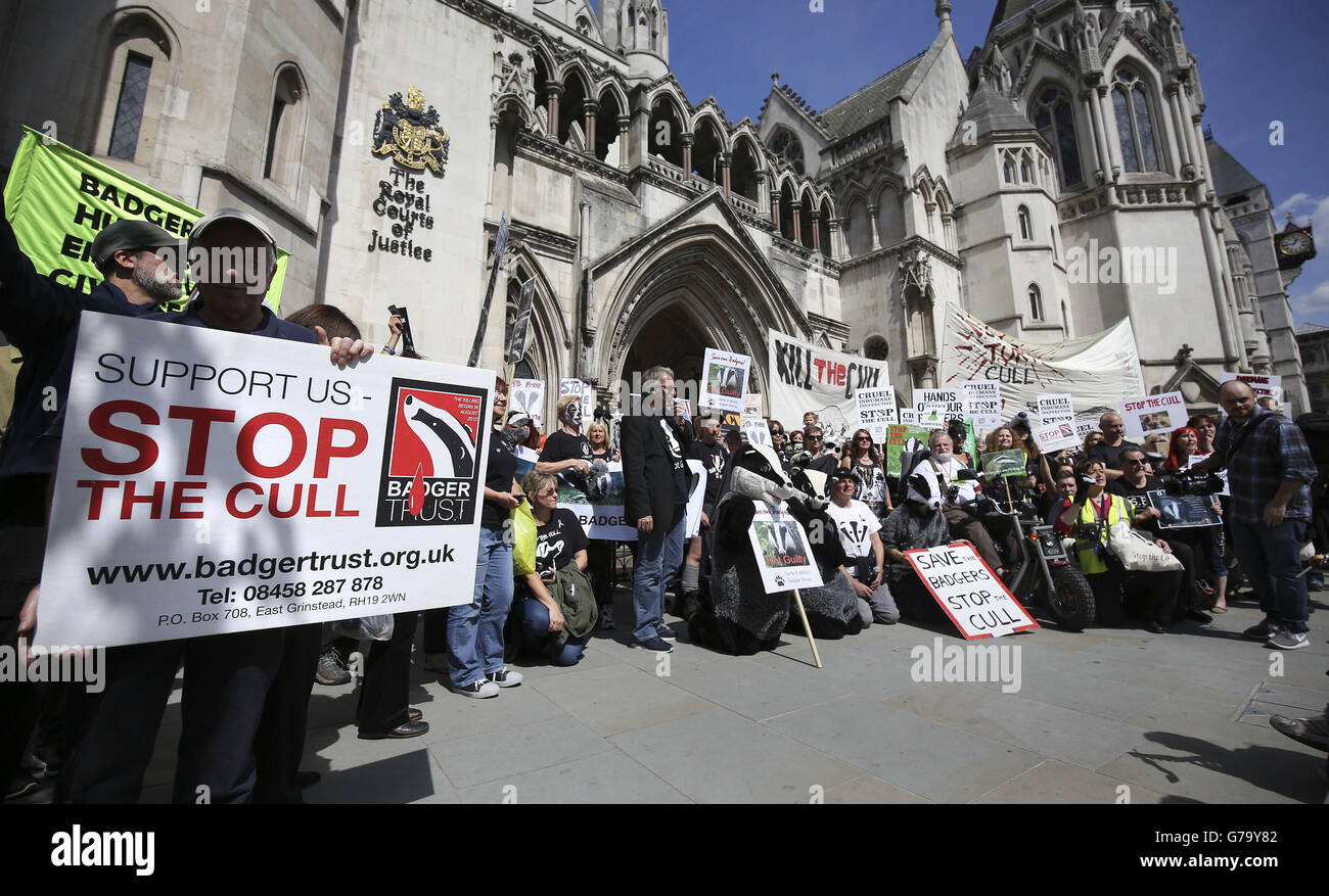 Badger culling protest Stock Photo - Alamy