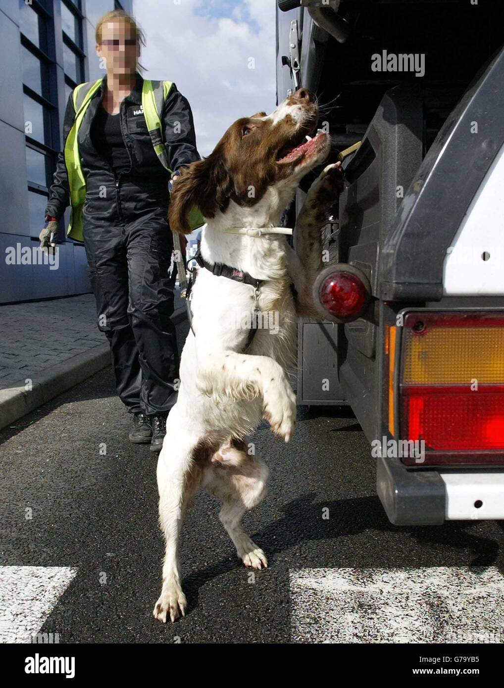 Immigration Officer Officers High Resolution Stock Photography and ...