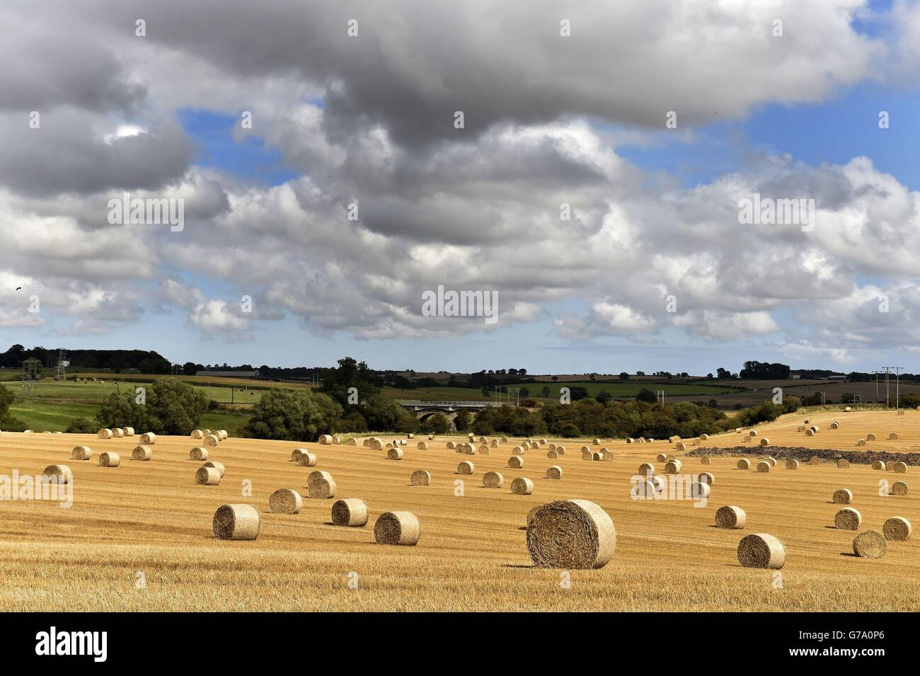 Weather 2014 hi-res stock photography and images - Alamy