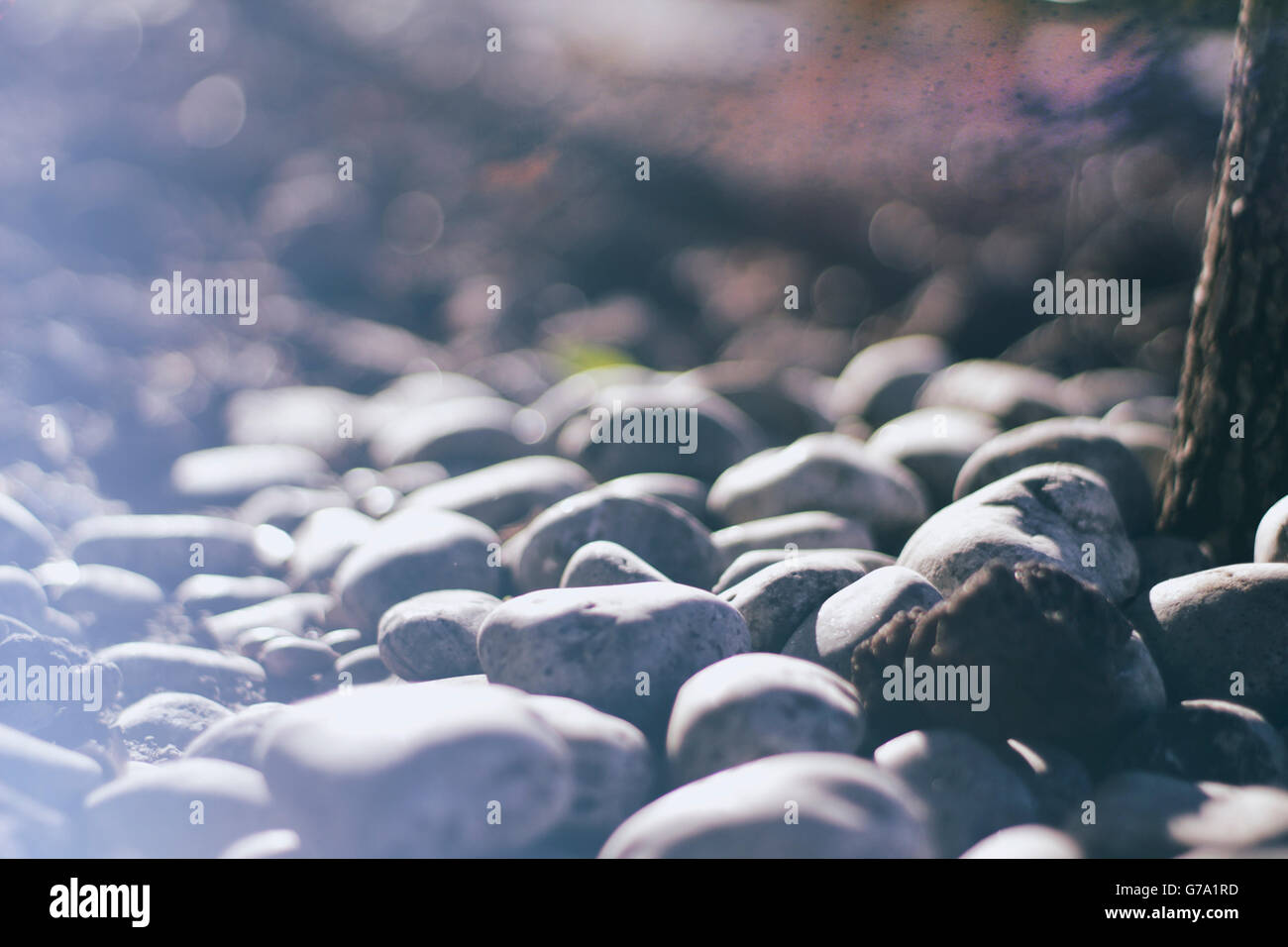 Photograph of some river gray smooth stones Stock Photo - Alamy