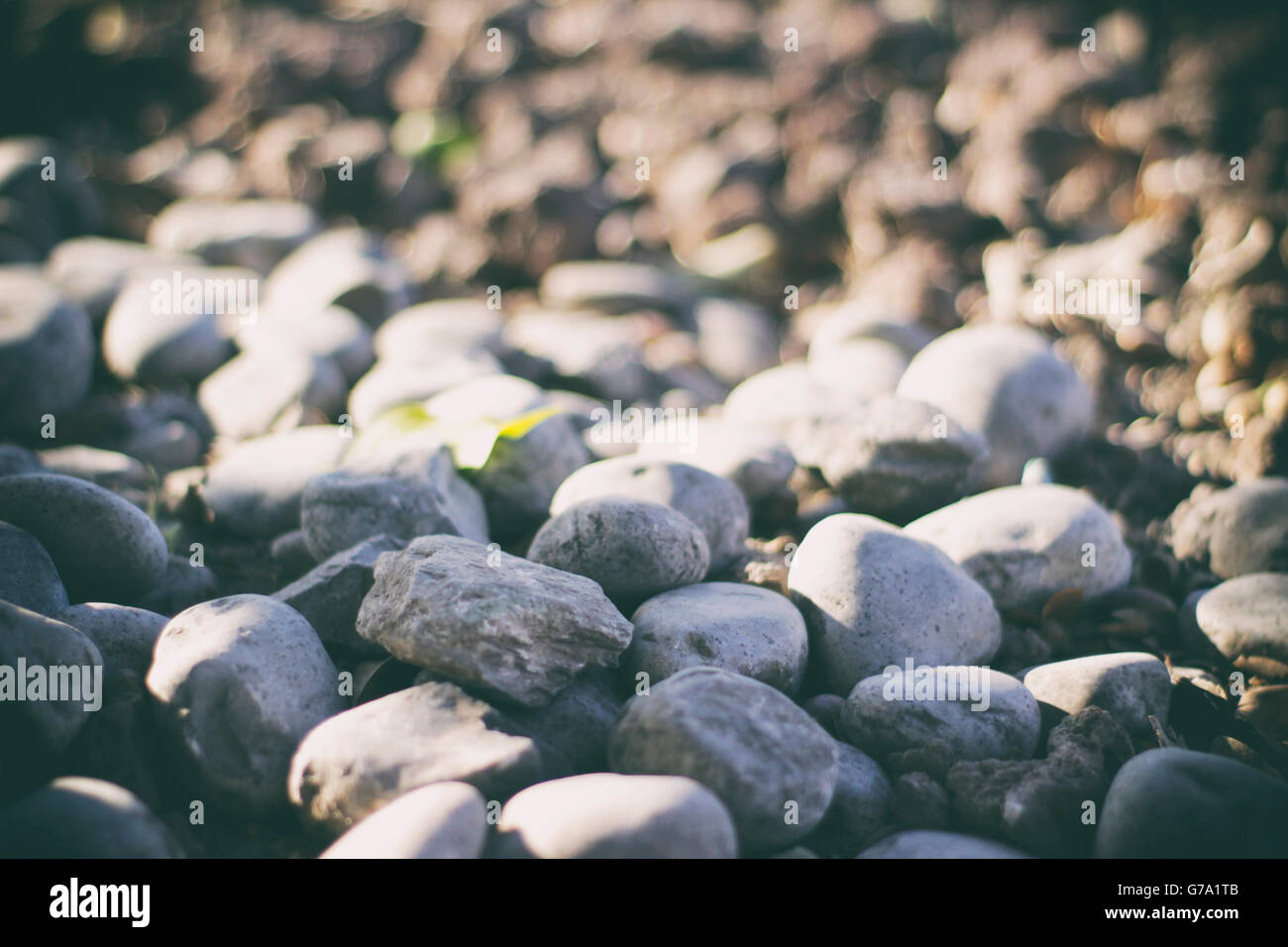 Photograph of some river gray smooth stones Stock Photo - Alamy