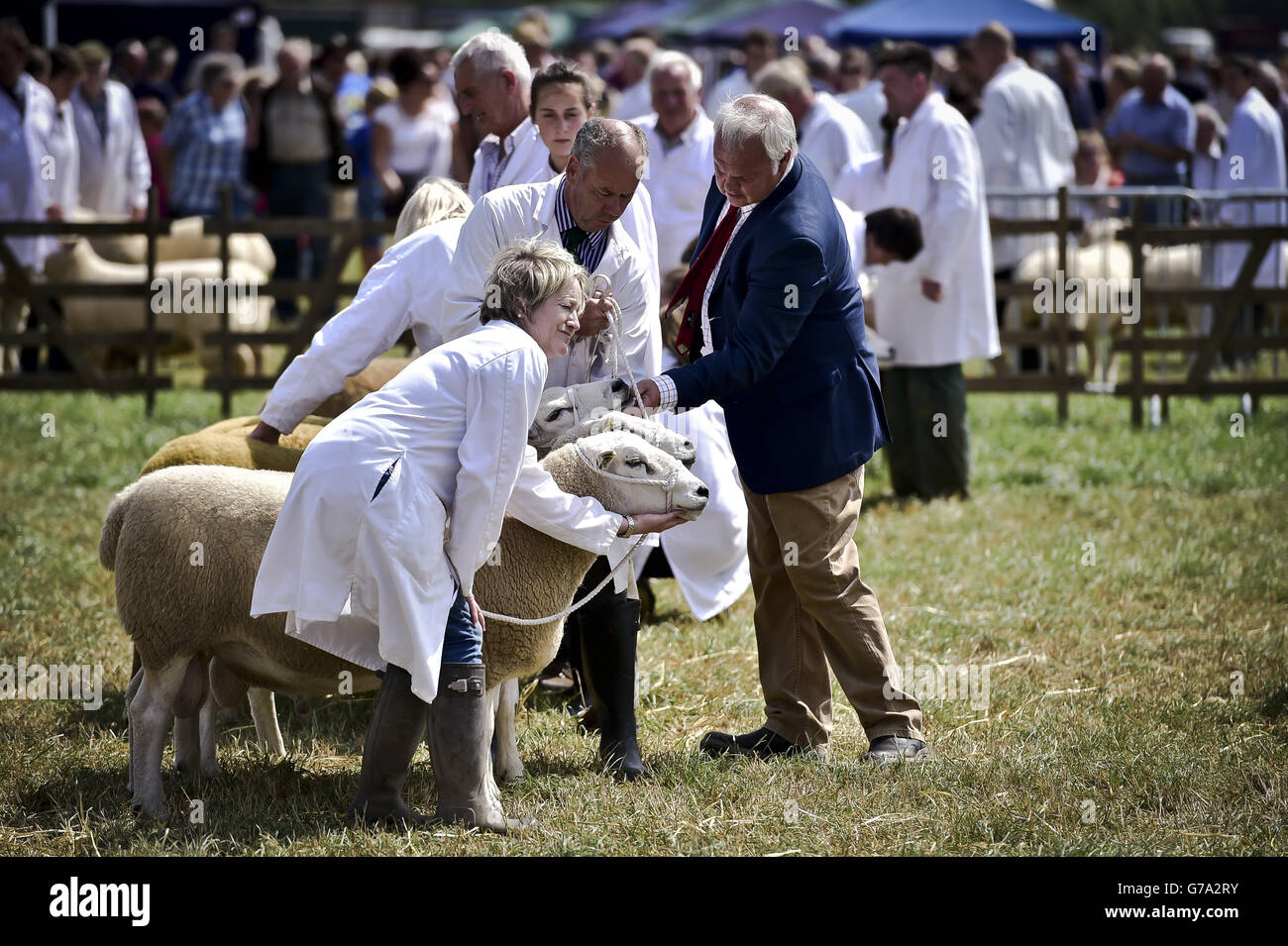 North Devon Show Stock Photo - Alamy