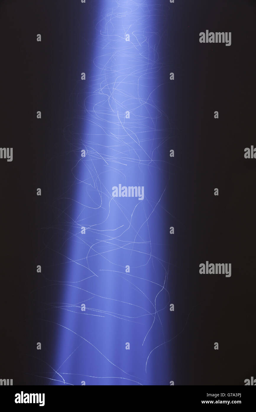 A long exposure showing the insect trails around the light installation ...