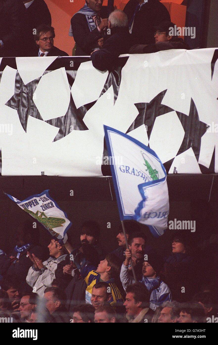 Grasshopper Fans High Resolution Stock Photography and Images - Alamy