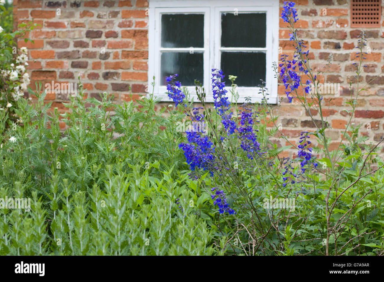 Flowers In an English Country Garden Stock Photo - Alamy