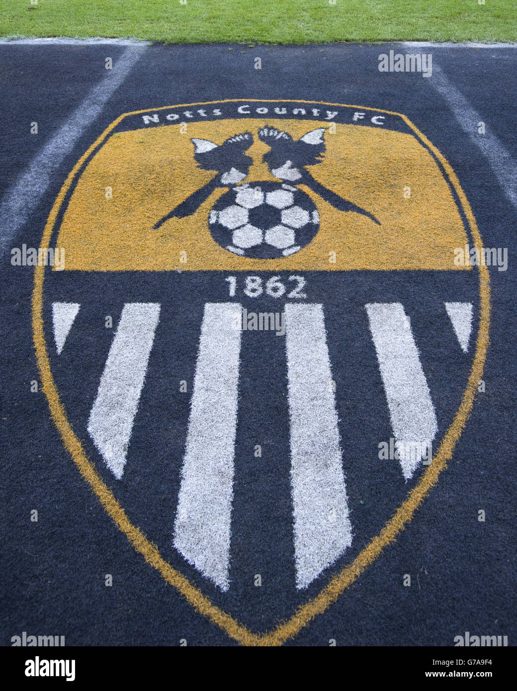 Colchester united badge hi-res stock photography and images - Alamy