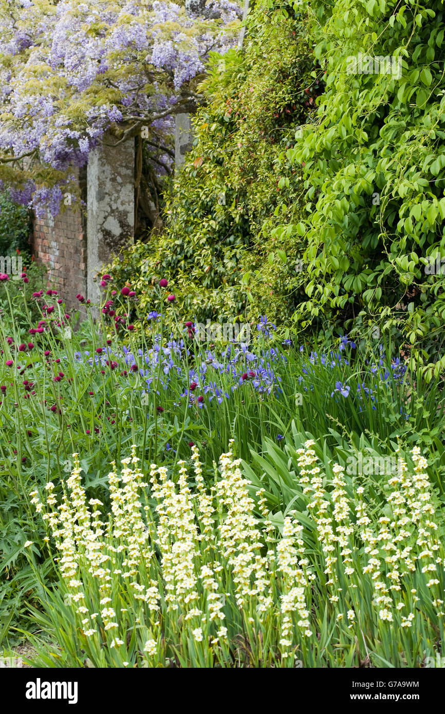 Flowers In an English Country Garden Stock Photo - Alamy