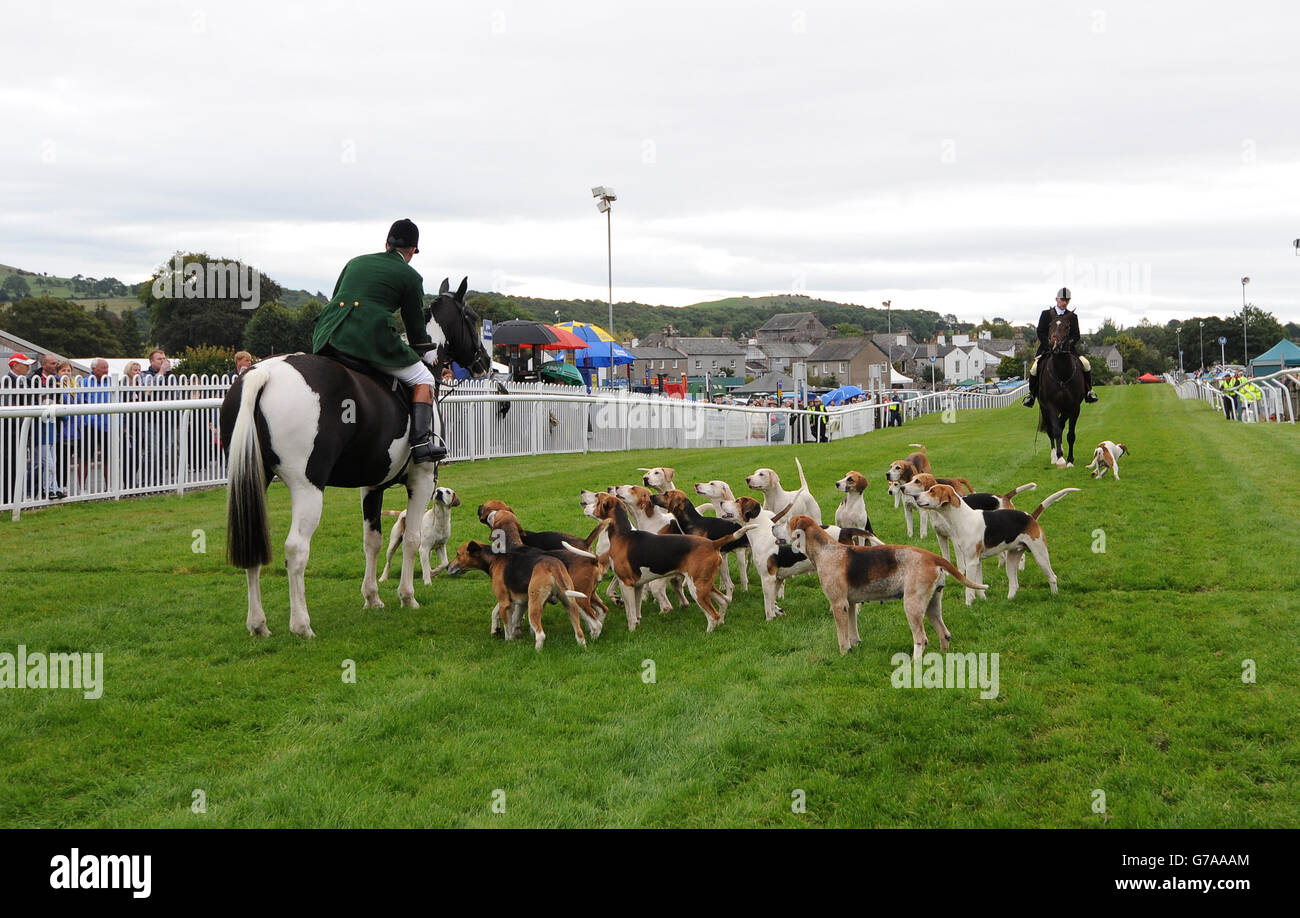 Vale of lune hi-res stock photography and images - Alamy