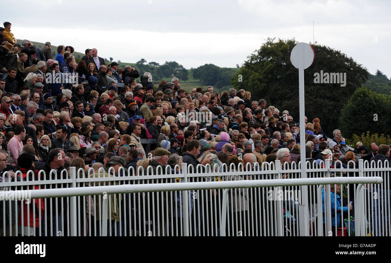 Crowds in the grandstand at Cartmel Racecourse, Cartmel, Cumbria Stock ...