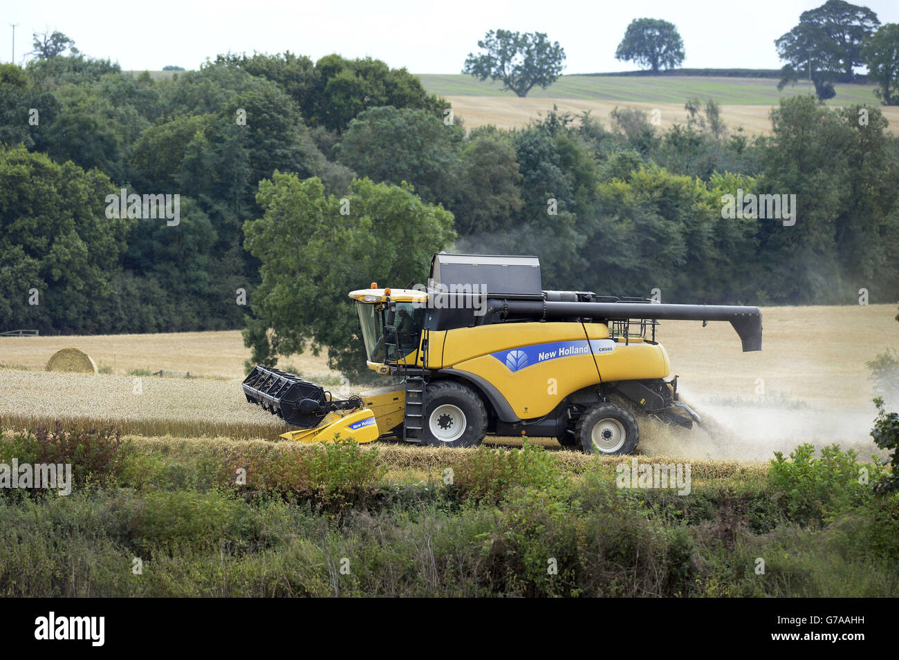 A combine harvester at work in a field in Northumberland Stock Photo ...
