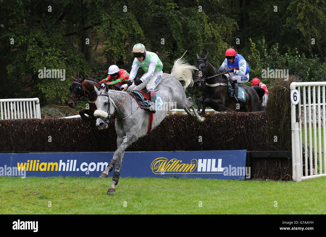 William cavendish horse hi-res stock photography and images - Alamy