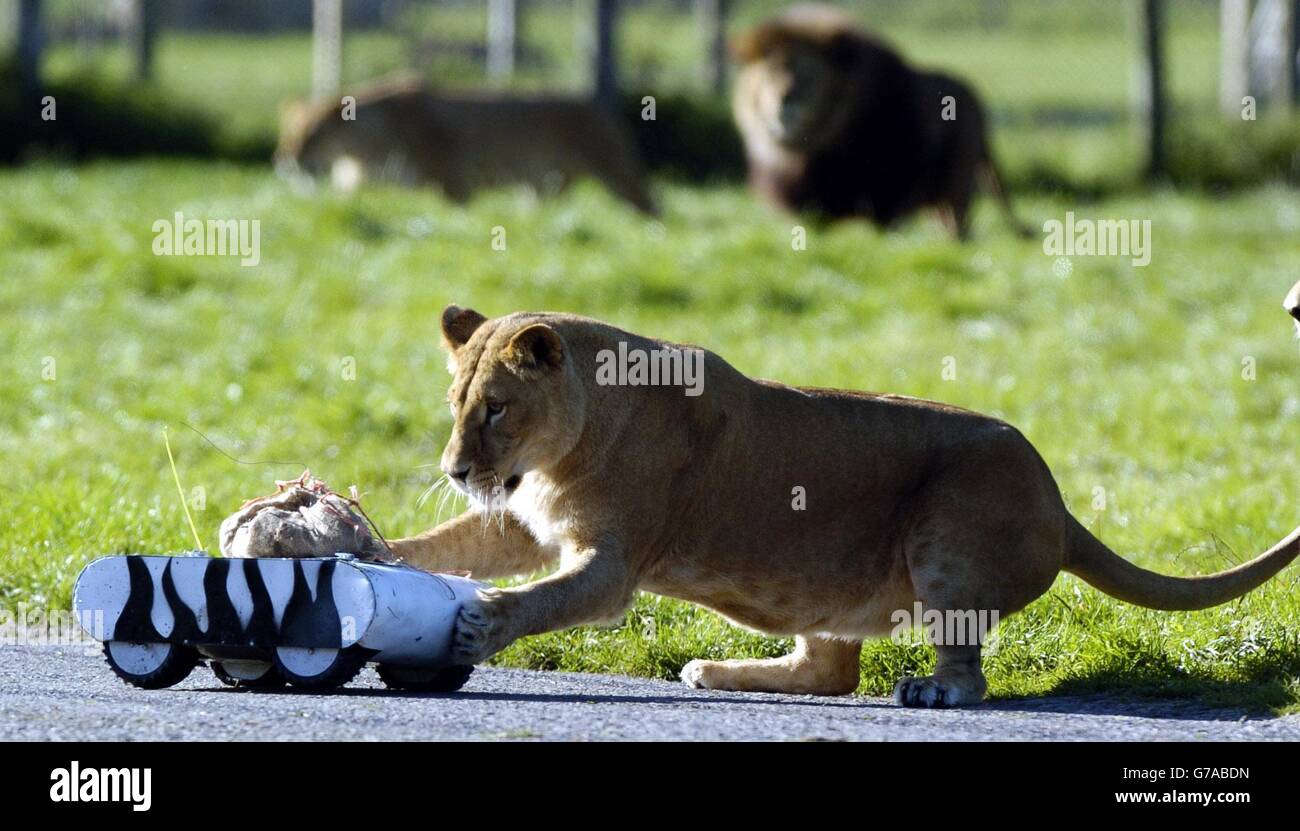 Rover stirling hi-res stock photography and images - Alamy