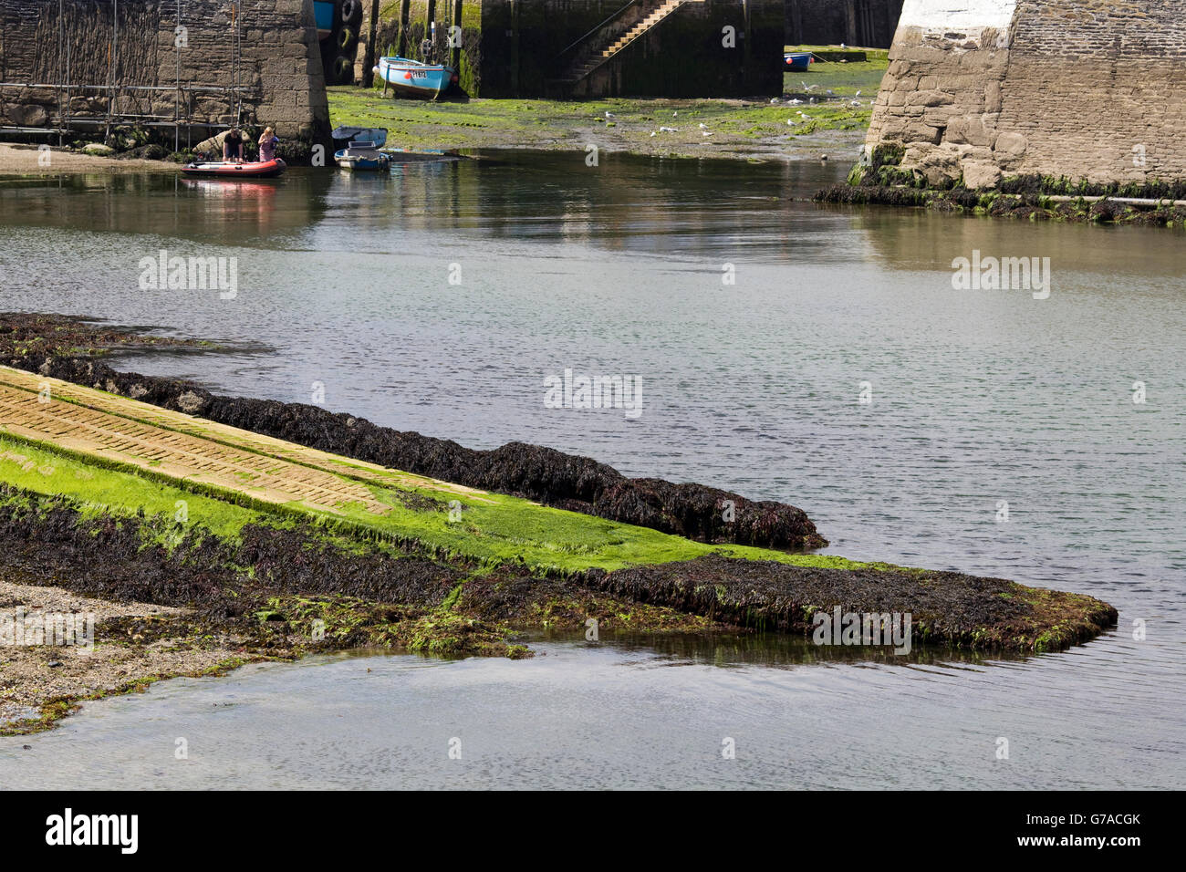 moss and seaweed covered slipway for boats Stock Photo - Alamy