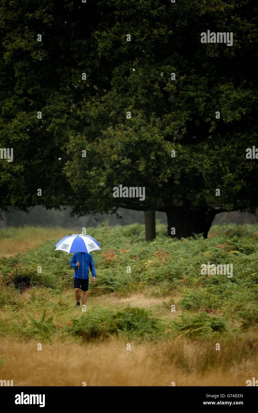Autumn ampics hi-res stock photography and images - Alamy