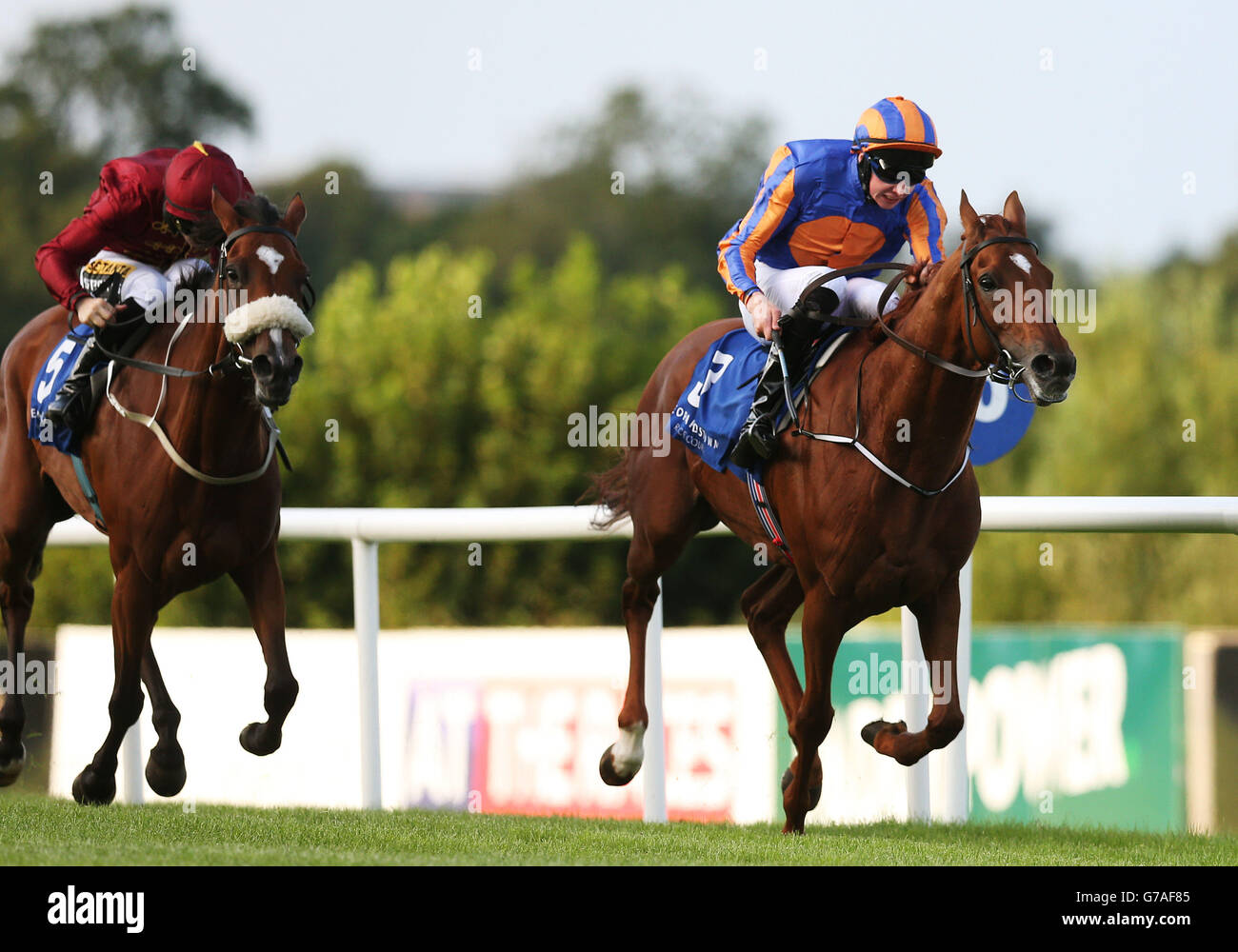 Horse Racing - Leopardstown Racecourse Stock Photo - Alamy