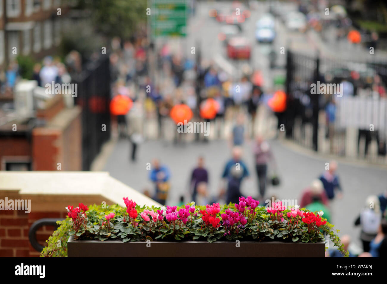 Cricket test match series crowds crowd fan fans arrive arriving hi-res ...