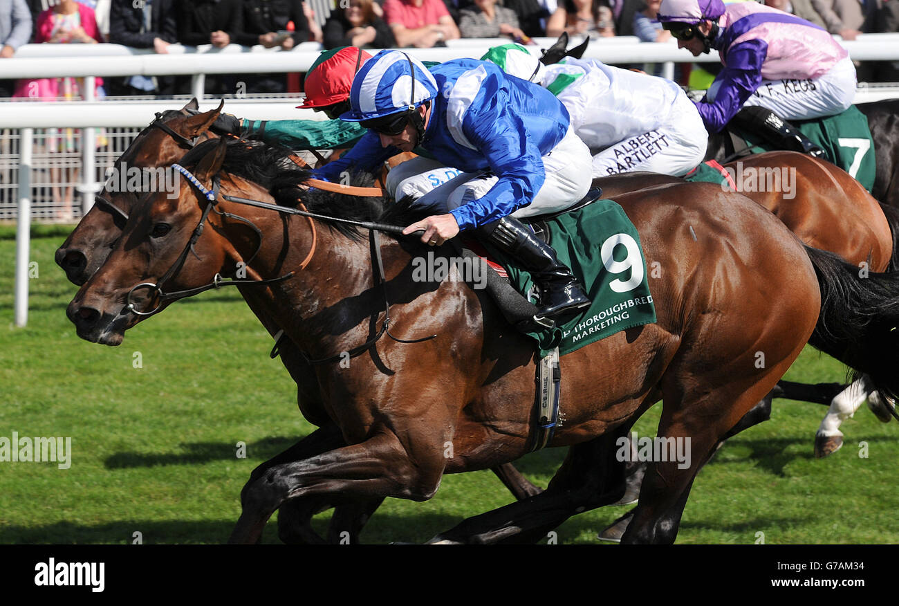Muhaarar ridden by Paul Hanagan (number 9) wins the Irish Thoroughbred ...