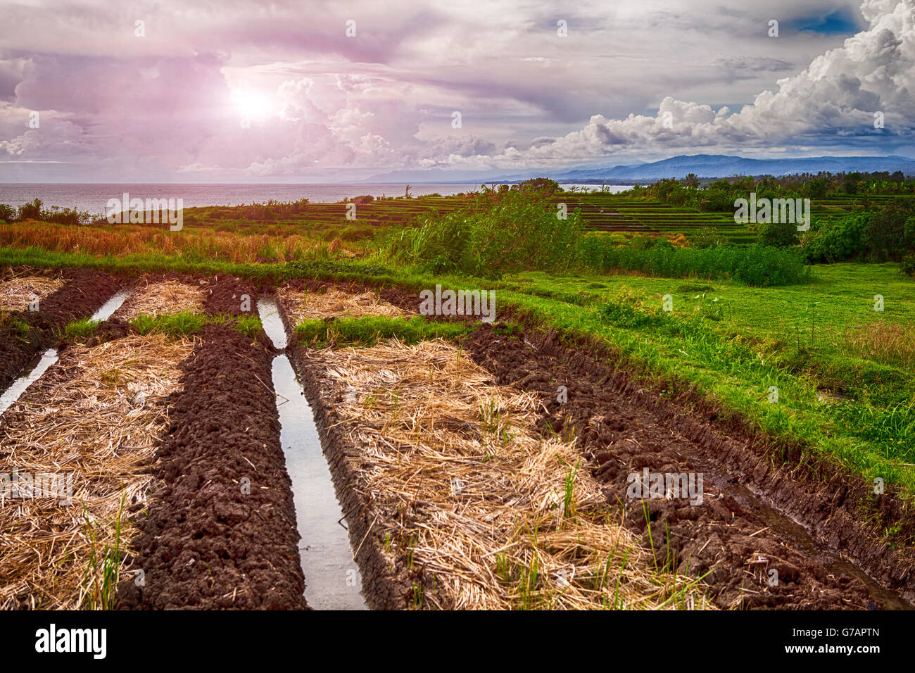 Set Rice Terraces Stock Photo - Alamy