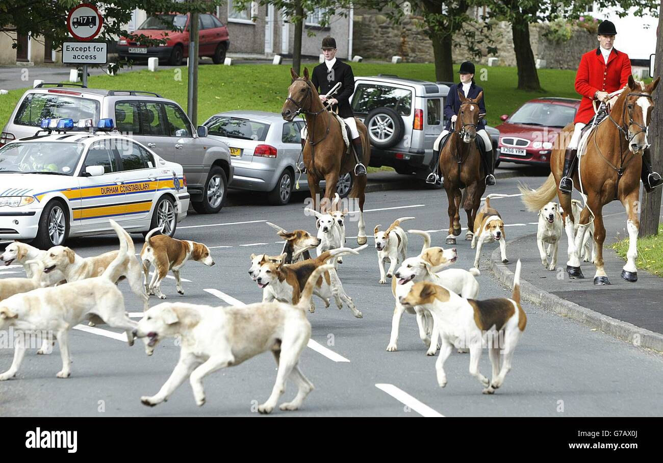 Fox Hunting Ban - Hounds and huntsmen leave Trmdom Stock Photo - Alamy