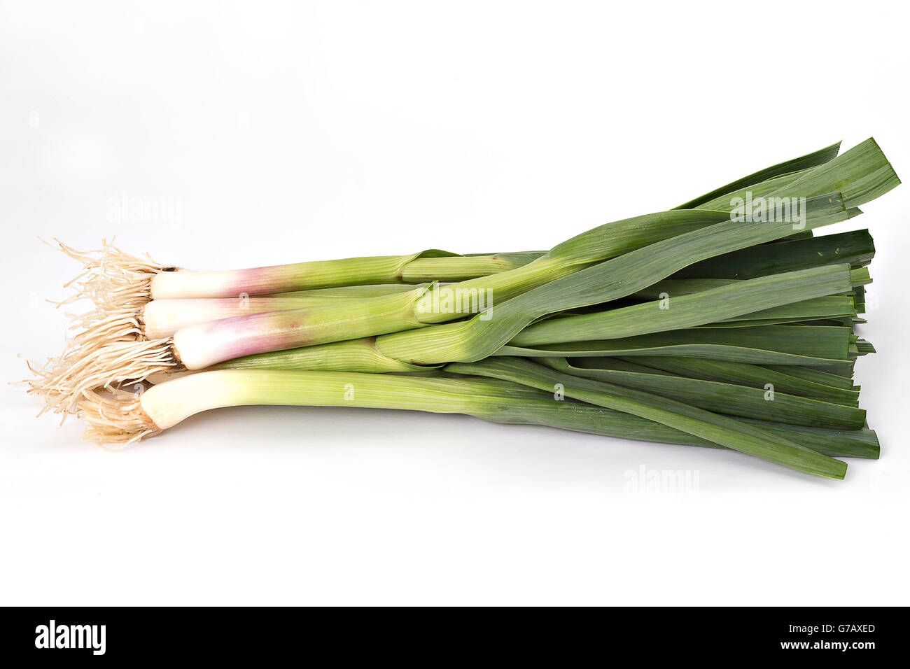 Young green garlic isolated on white background Stock Photo - Alamy