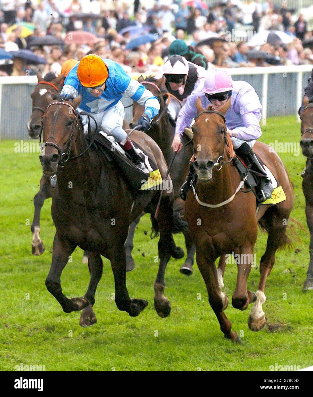 Seb saunders hi-res stock photography and images - Alamy