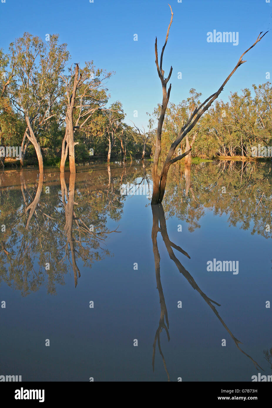 Creek at Nindigully, Qld, Australia Stock Photo - Alamy