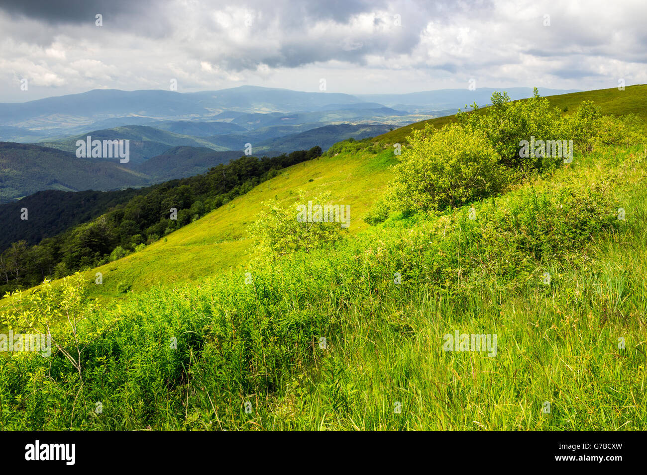 mountain landscape. valley near the forest on the mountain slope at the ...