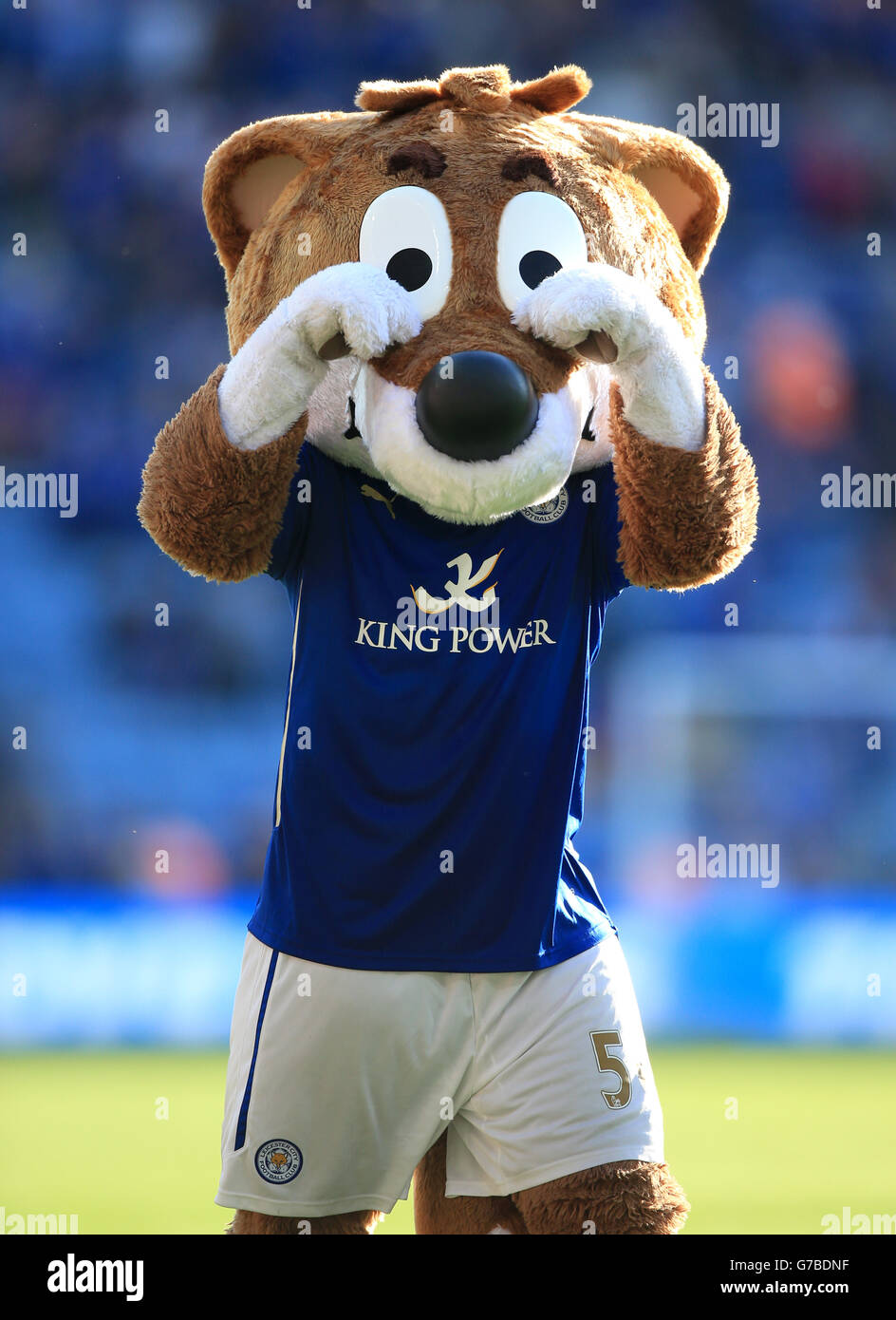 Leicester city mascot hi-res stock photography and images - Alamy