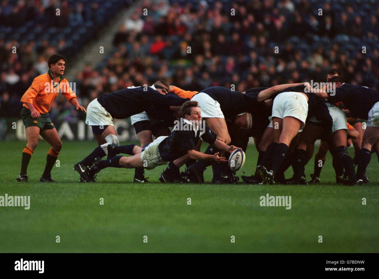 International Rugby Union Australia v Scotland Stock Photo - Alamy