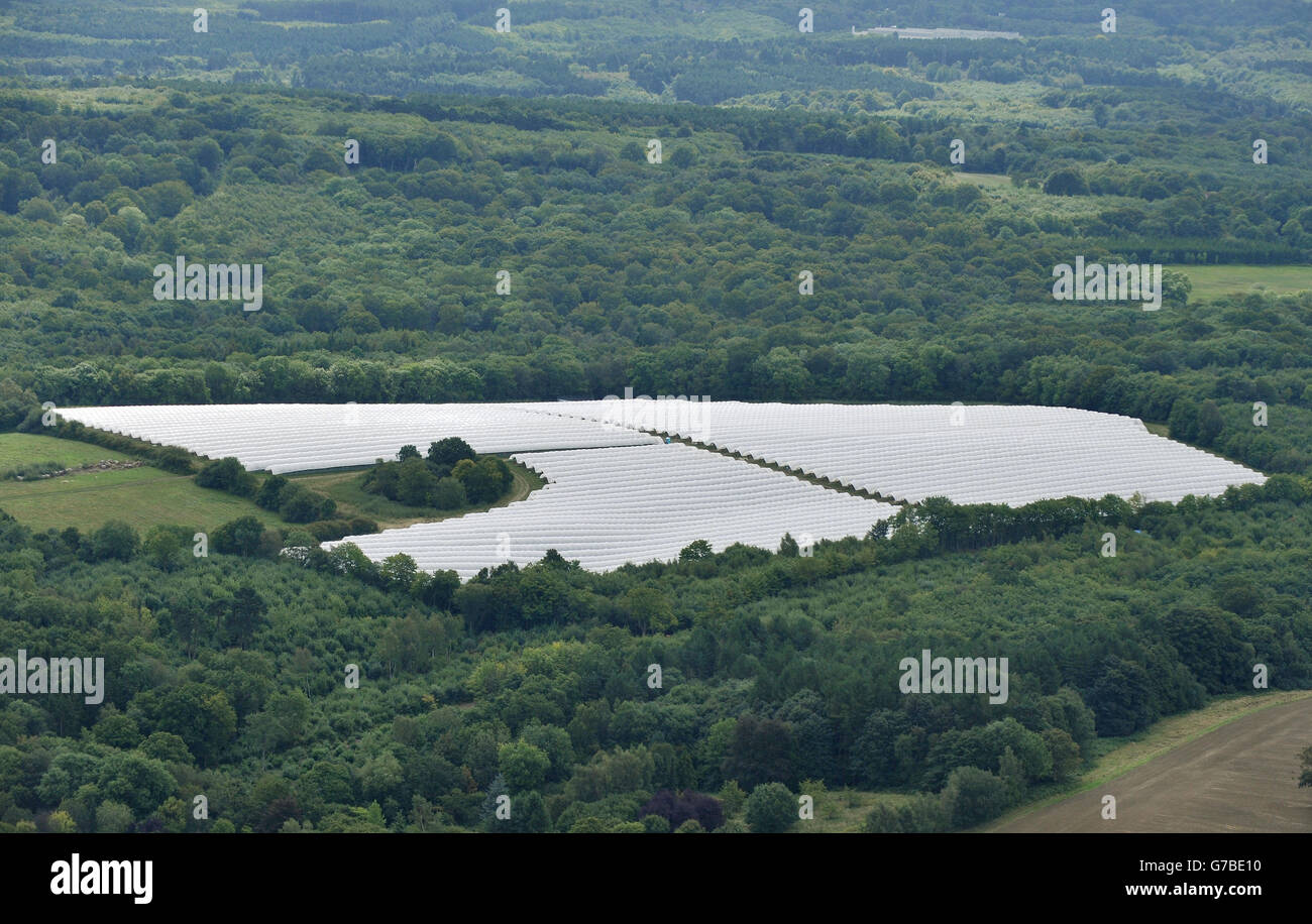 Polytunnels being used on a farm to grow crops in Kent Stock Photo - Alamy