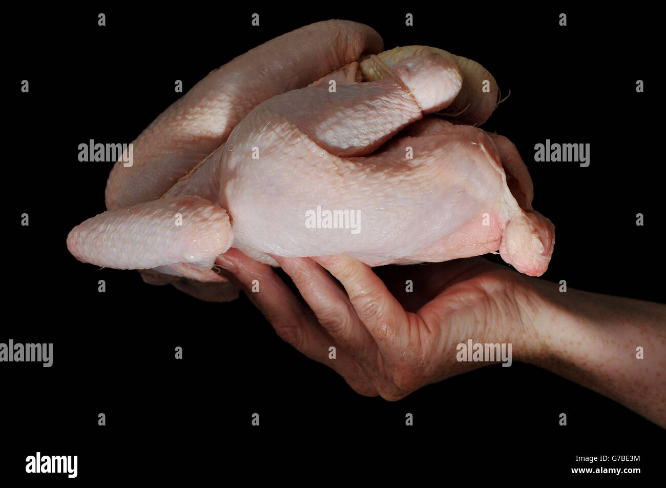 A raw chicken being handled, as poor food hygiene, preparation and ...