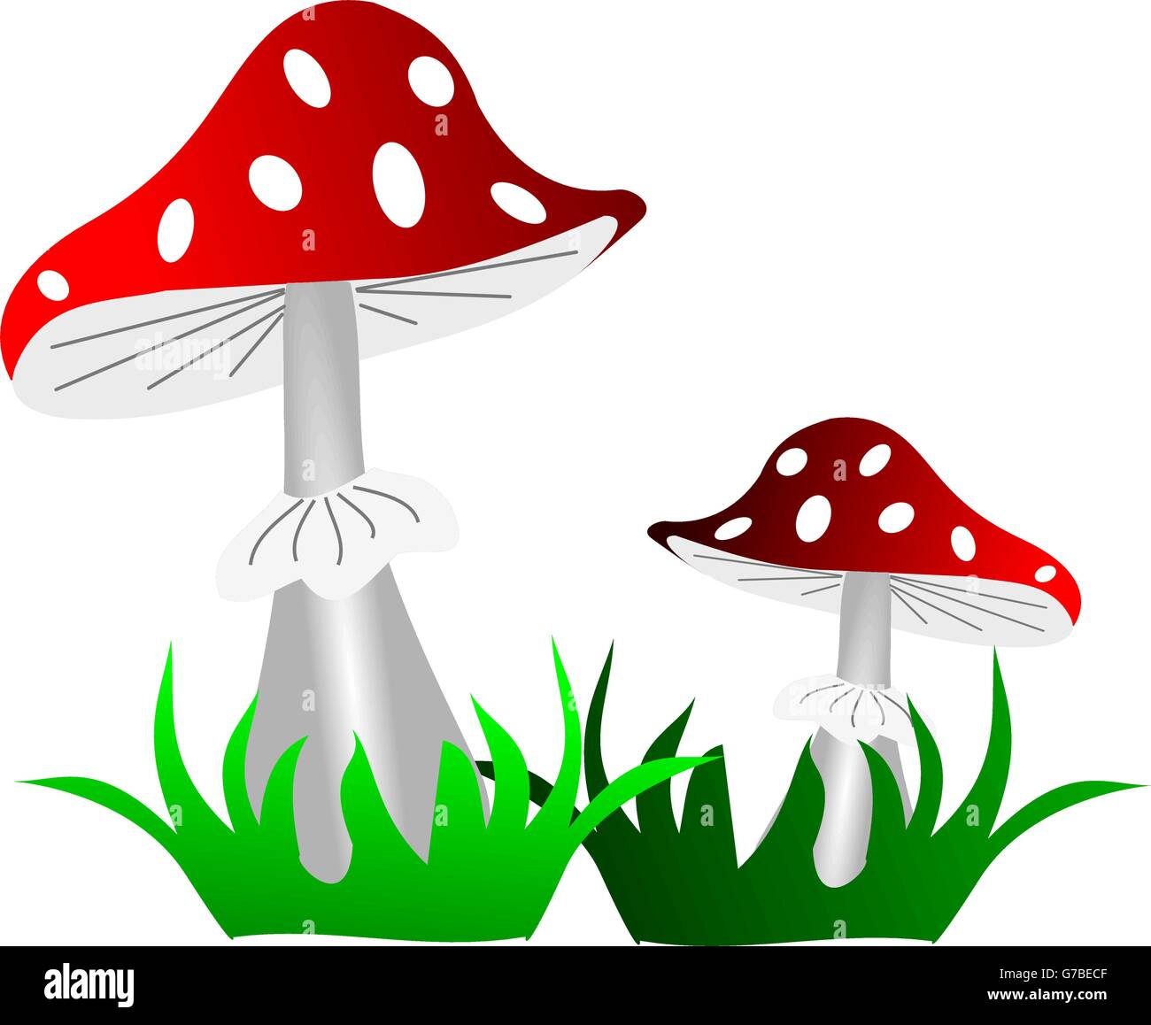 Two red toadstools Stock Vector Images - Alamy