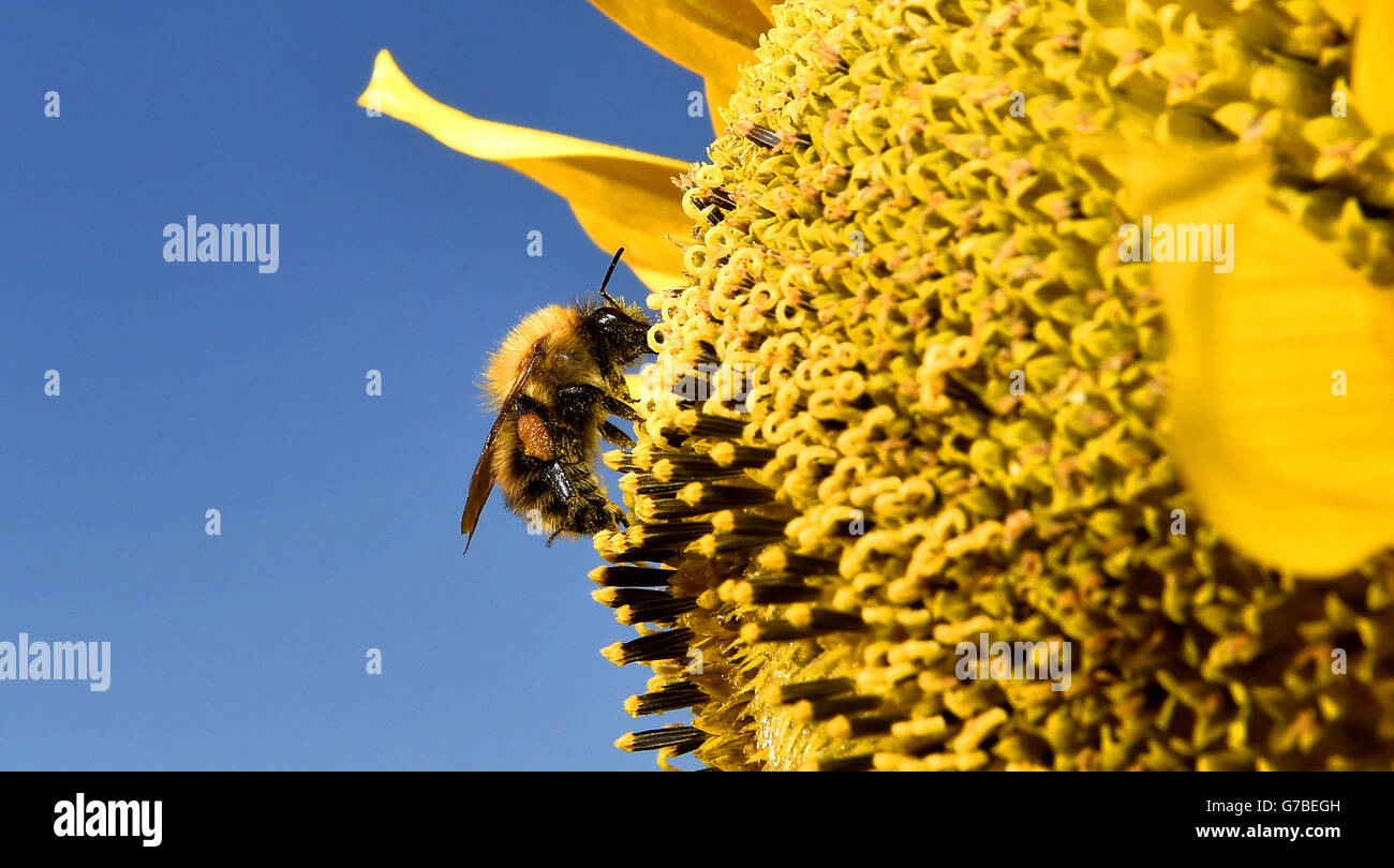 Autumn weather September 3rd Stock Photo - Alamy