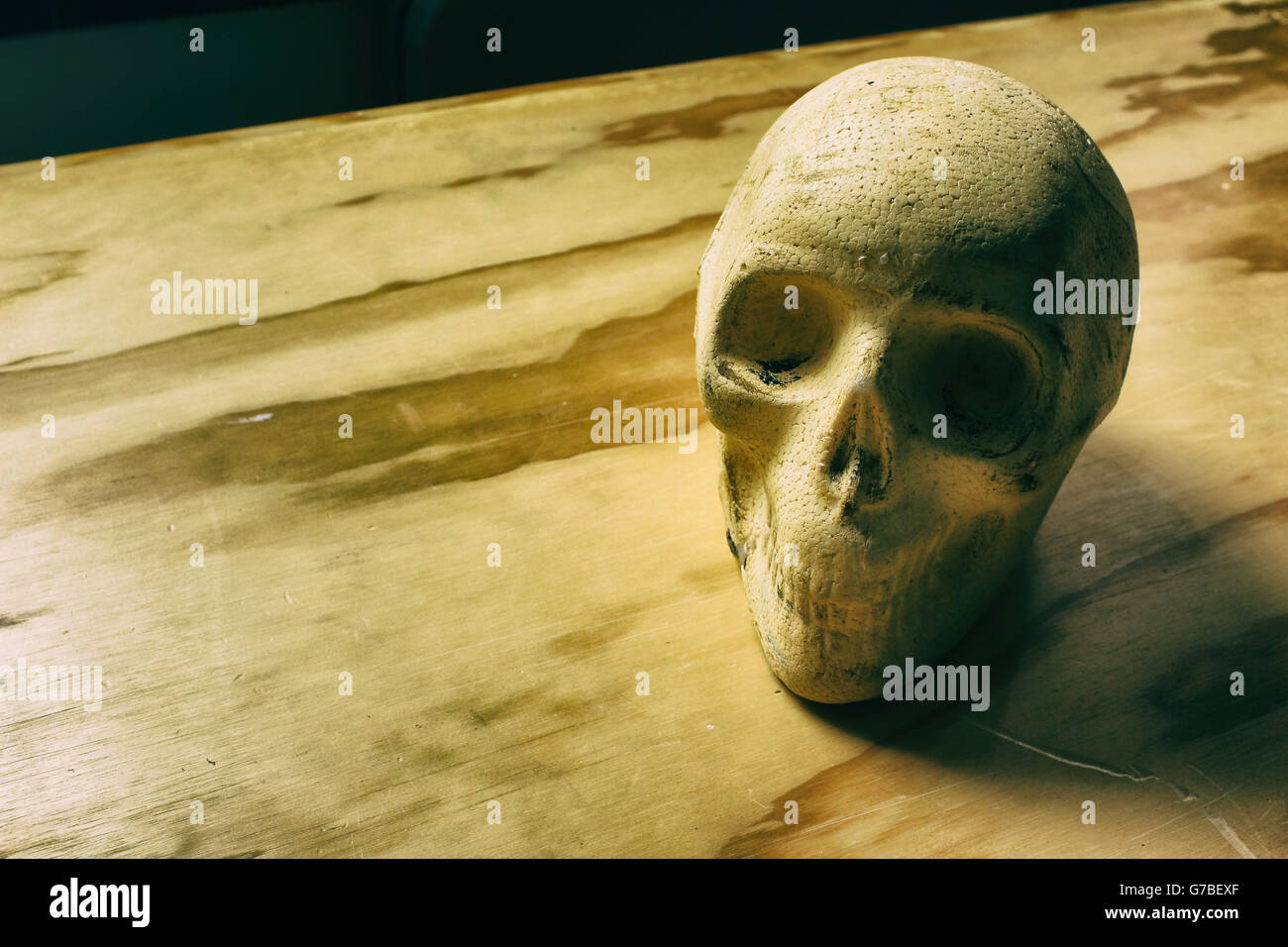 Photograph of a human skull on a wood table Stock Photo - Alamy