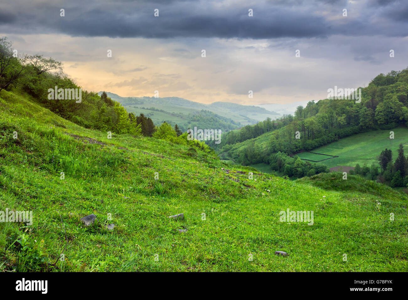 Hillside forest hi-res stock photography and images - Alamy